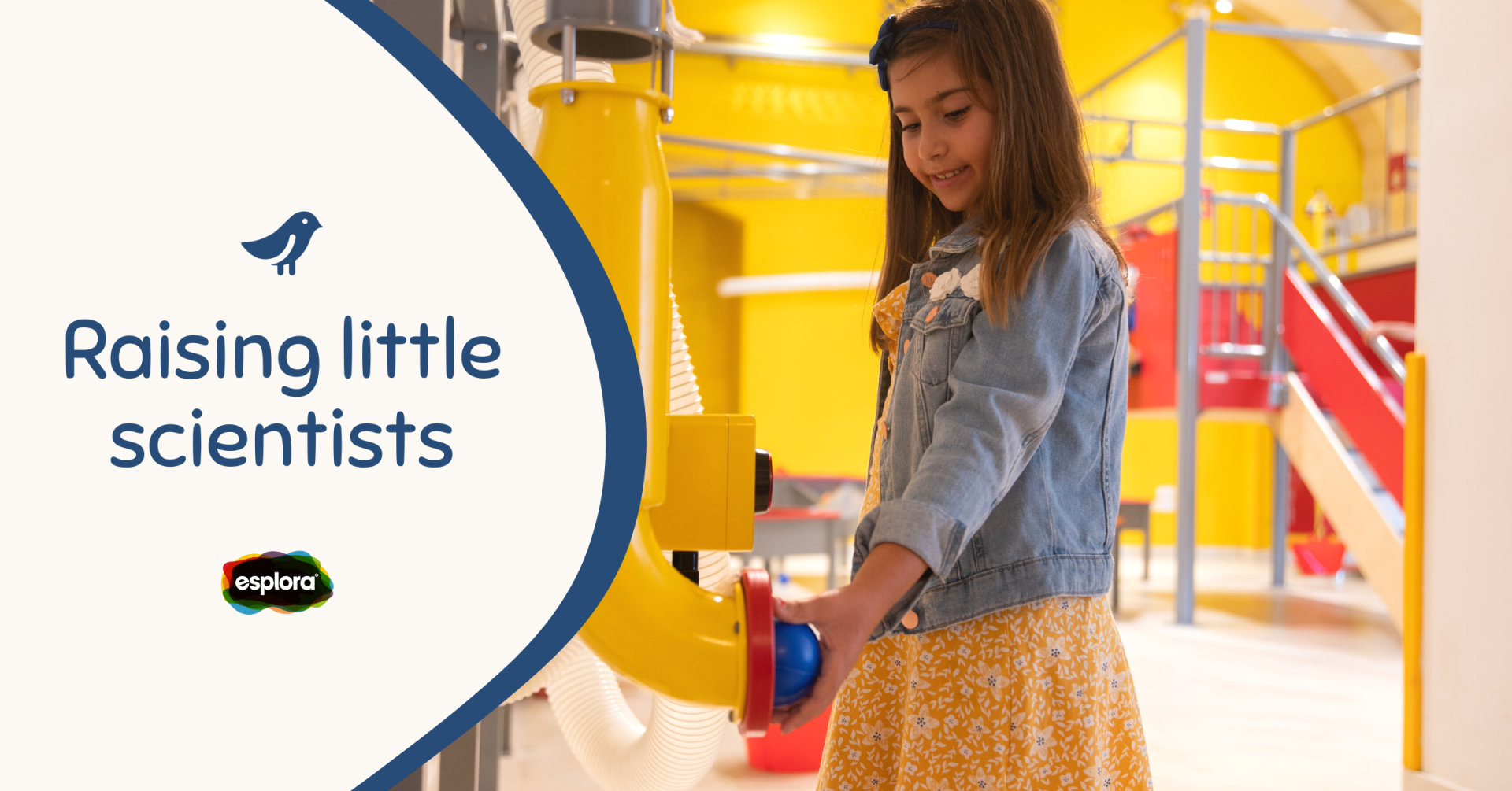 Raising Little Scientists - Island Bebe