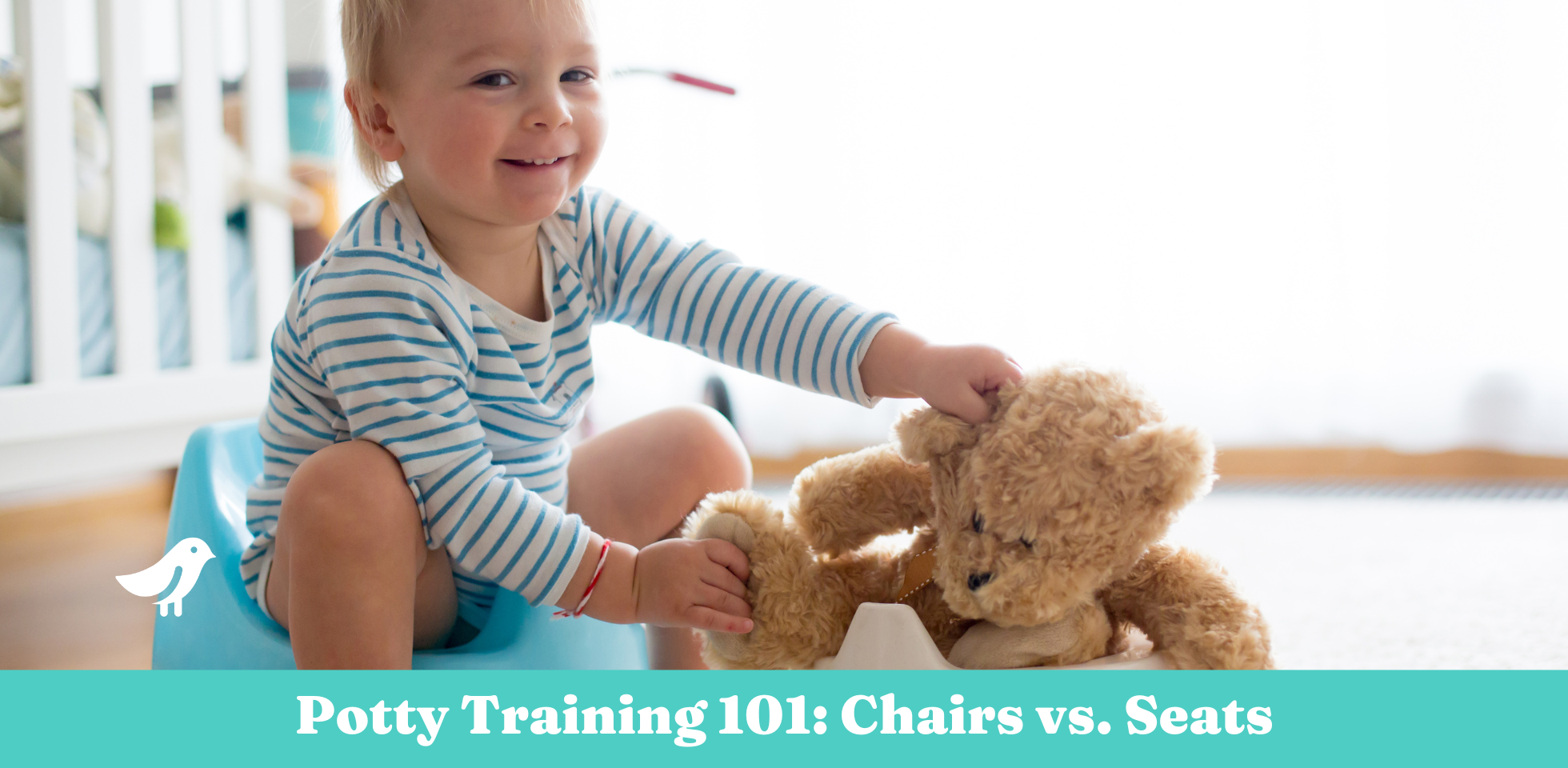 Potty Training 101: Chairs vs. Seats - Island Bebe